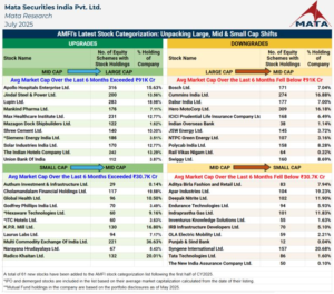 AMFI’s Latest Stock Categorization: Unpacking Large, Mid & Small Cap ...